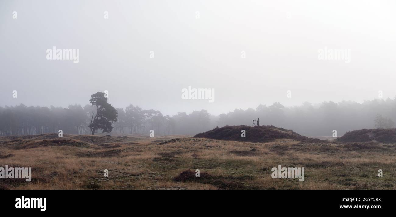 man bird watching on the heath near city of utrecht in the netherlands ...