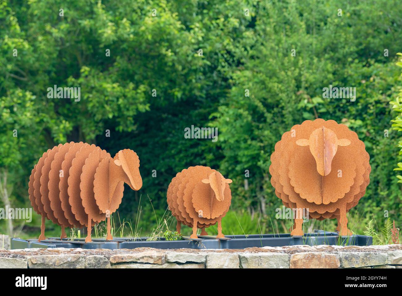 Rusty steel ornamental sheep in the moorland village of Goathland on ...