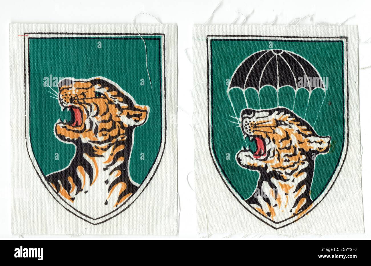 patchs Mike Force, Vietnam Stock Photo - Alamy