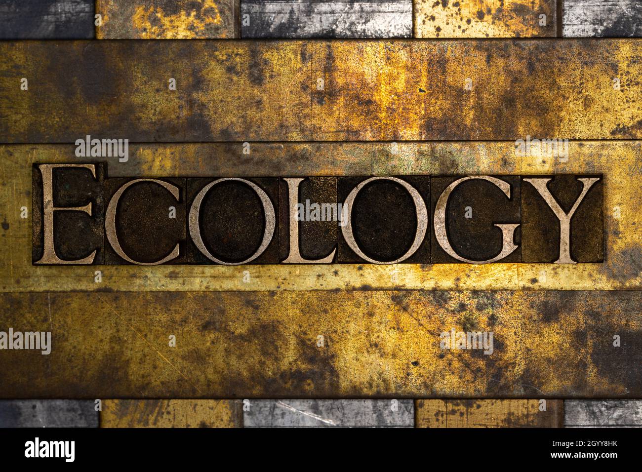 Ecology text on vintage textured copper and gold background Stock Photo ...