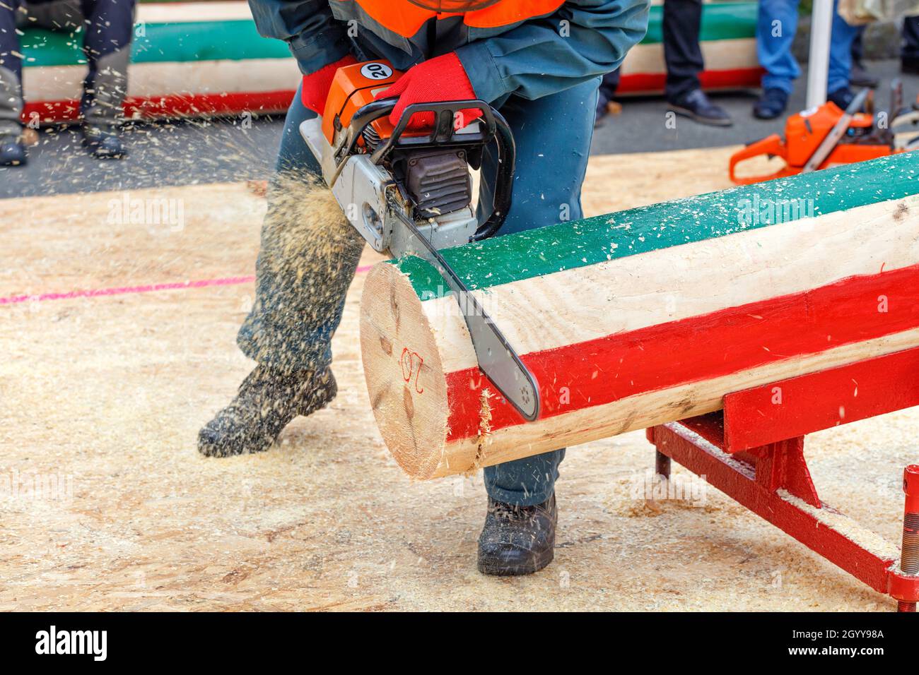 Man holds a chainsaw in his hands and cuts a marked log for accuracy on ...