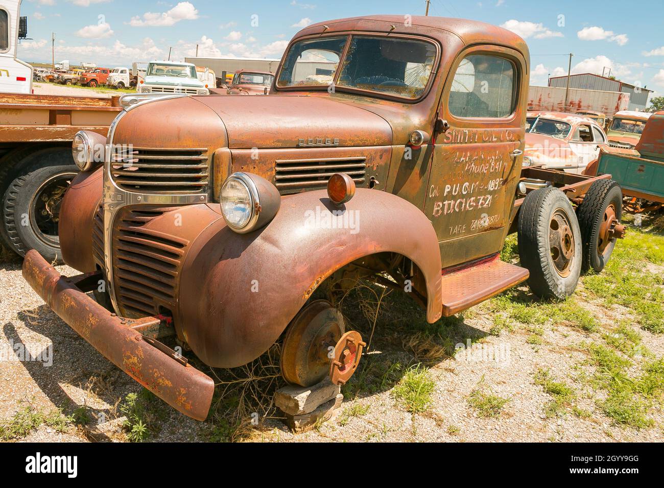 rusty vintage 1940s dodge truck in Phoenix junyard Stock Photo - Alamy
