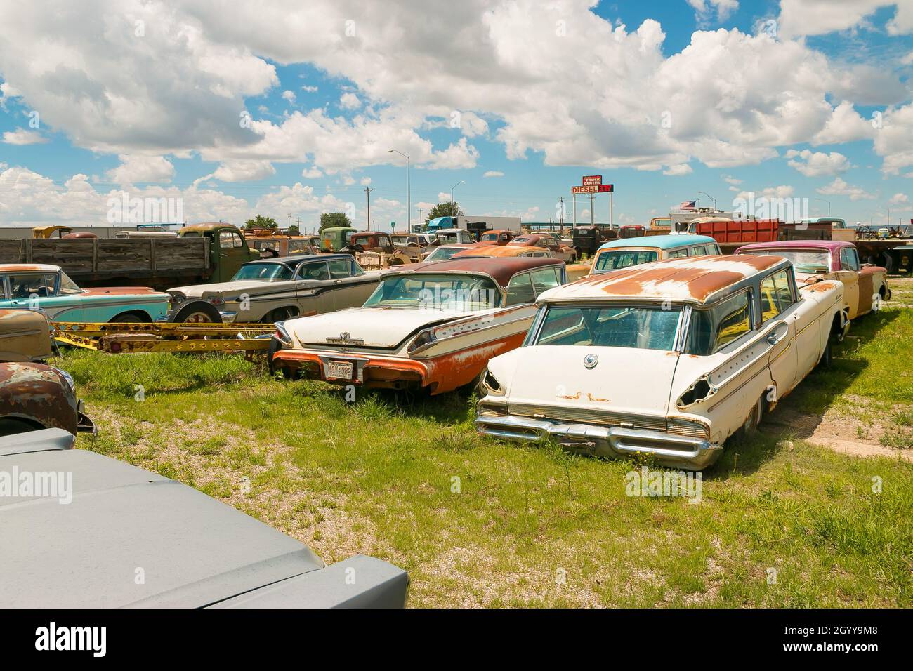A collection of vintage classic cars parked in a grassy field junkyard ...