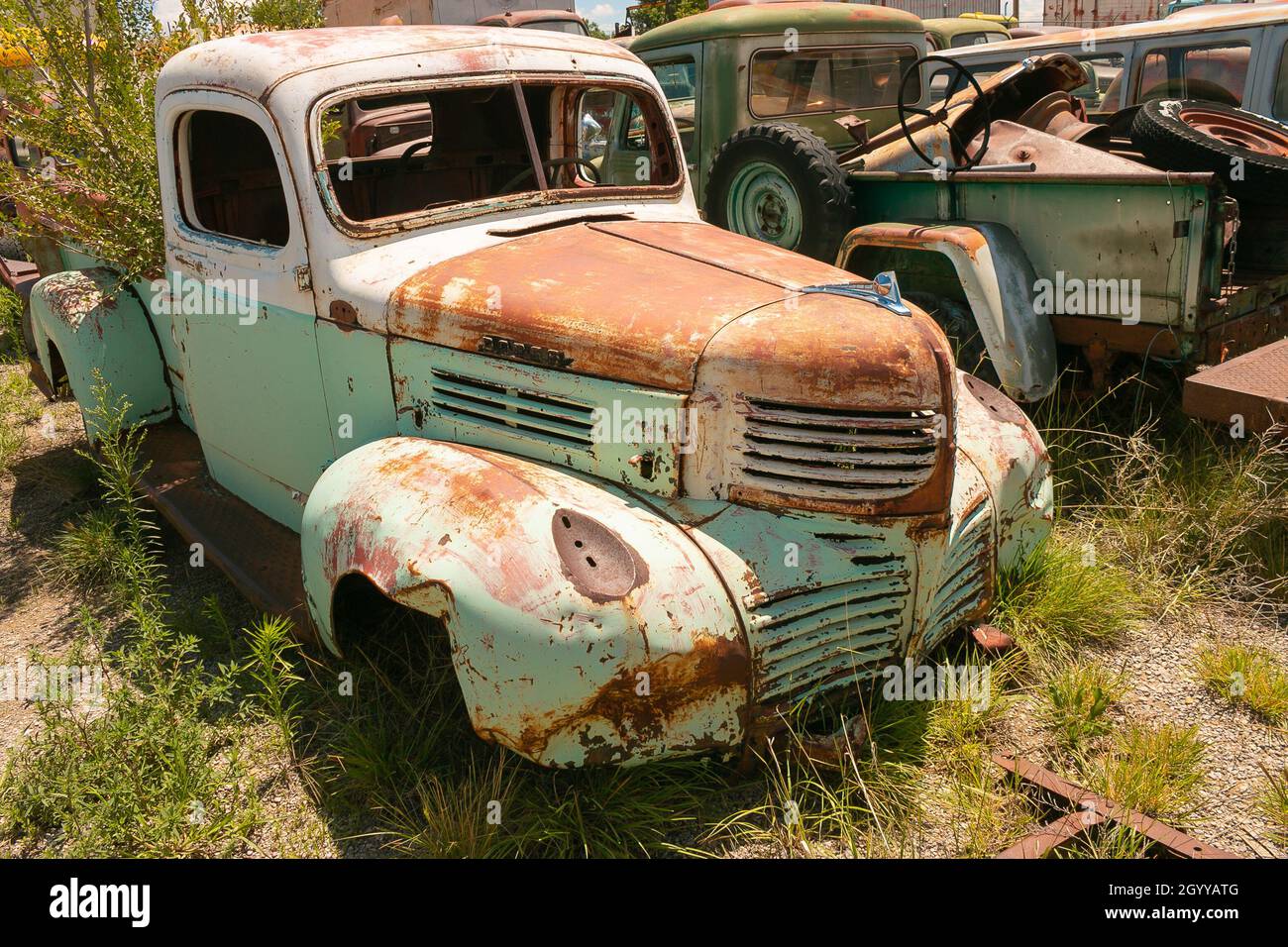 rusty vintage 1940s dodge truck in Phoenix junyard Stock Photo - Alamy