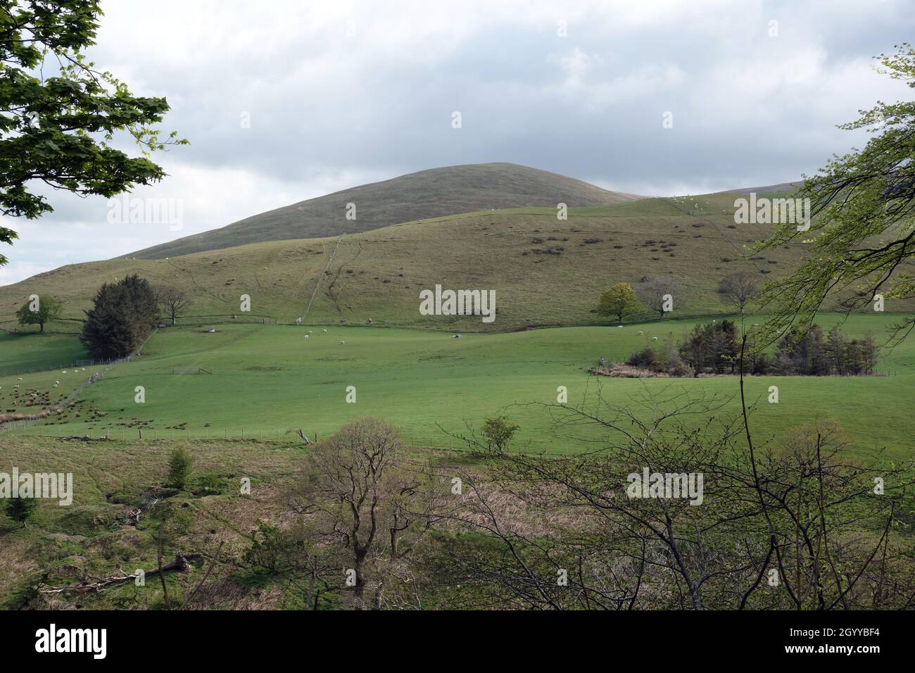 The Birkett 'Owsen Fell' Hill from the Track to Cogra Moss Angling ...