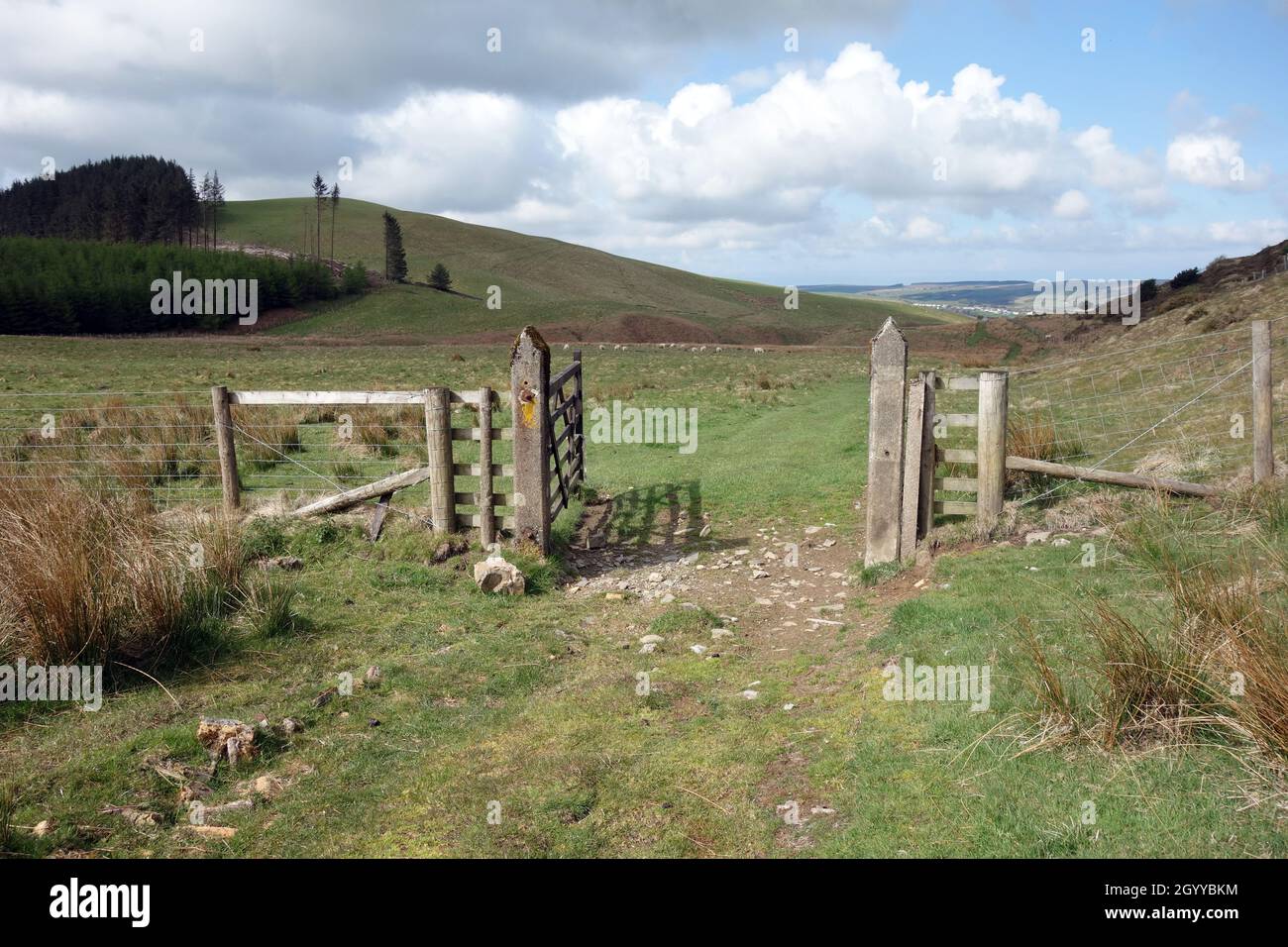 The Birkett 'High Hows' from a Gate in the Wisenholme Beck Valley on ...