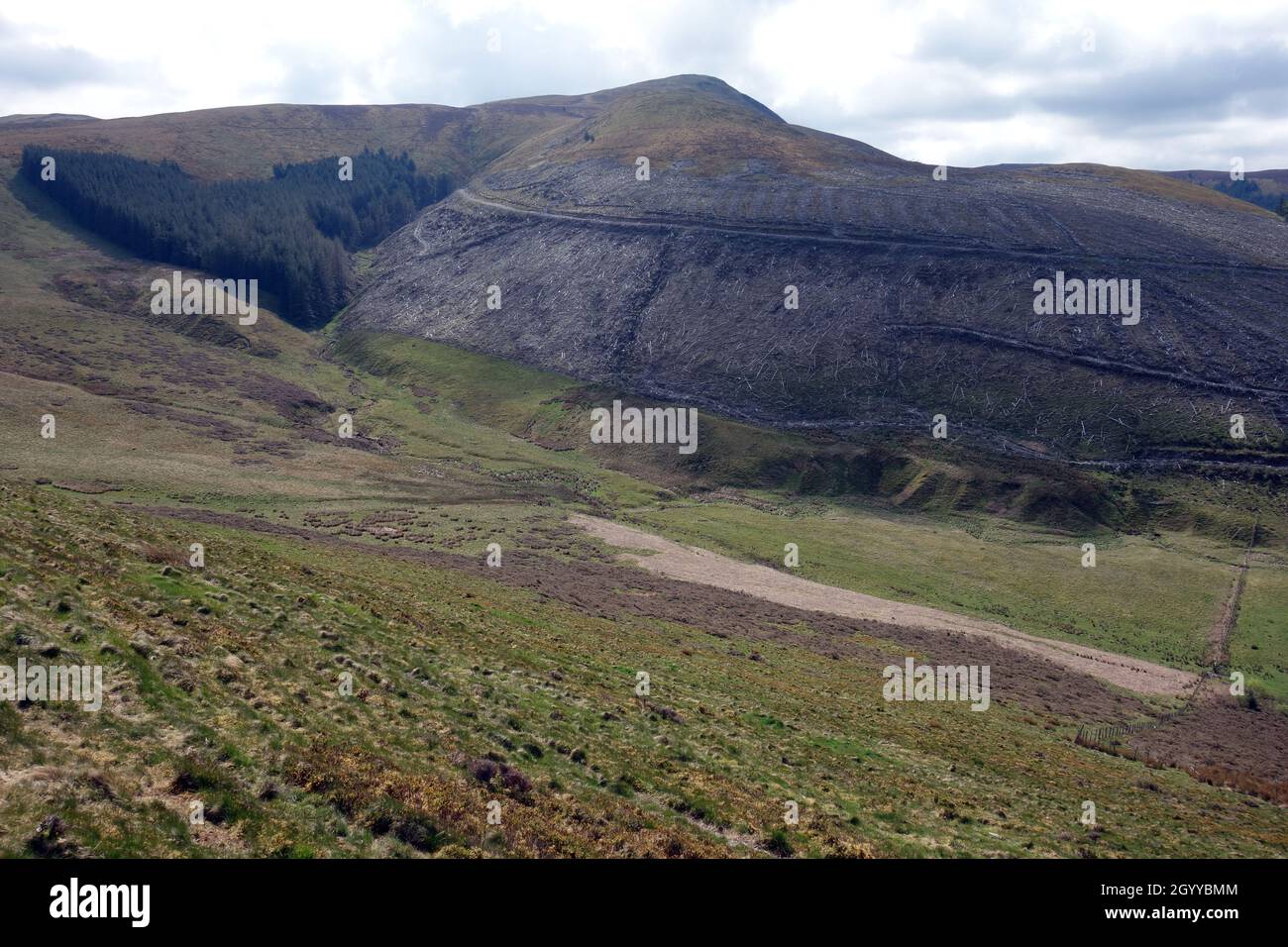 Deforestation on the Wainwright 'Blake Fell' & 'Sharp Knott' from near ...