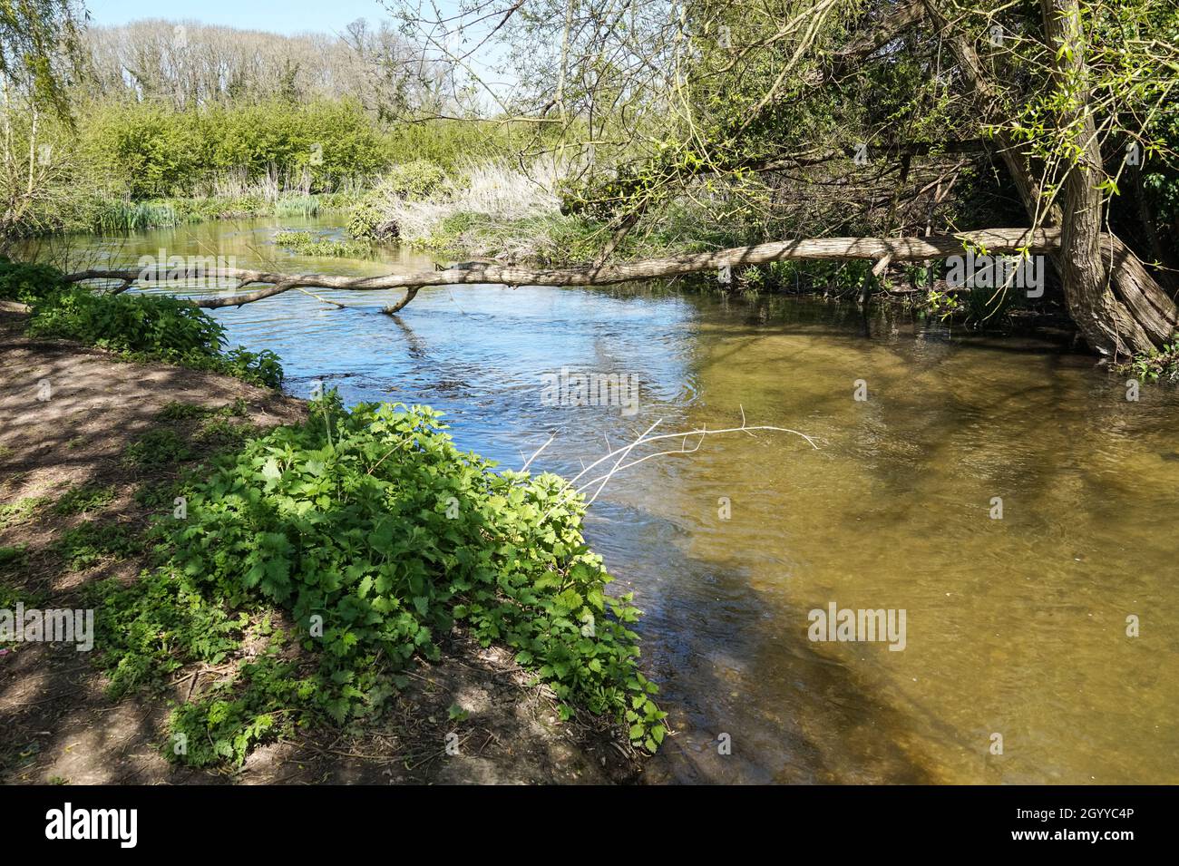 The Chess valley with the River Chess in Hertfordshire, England United ...