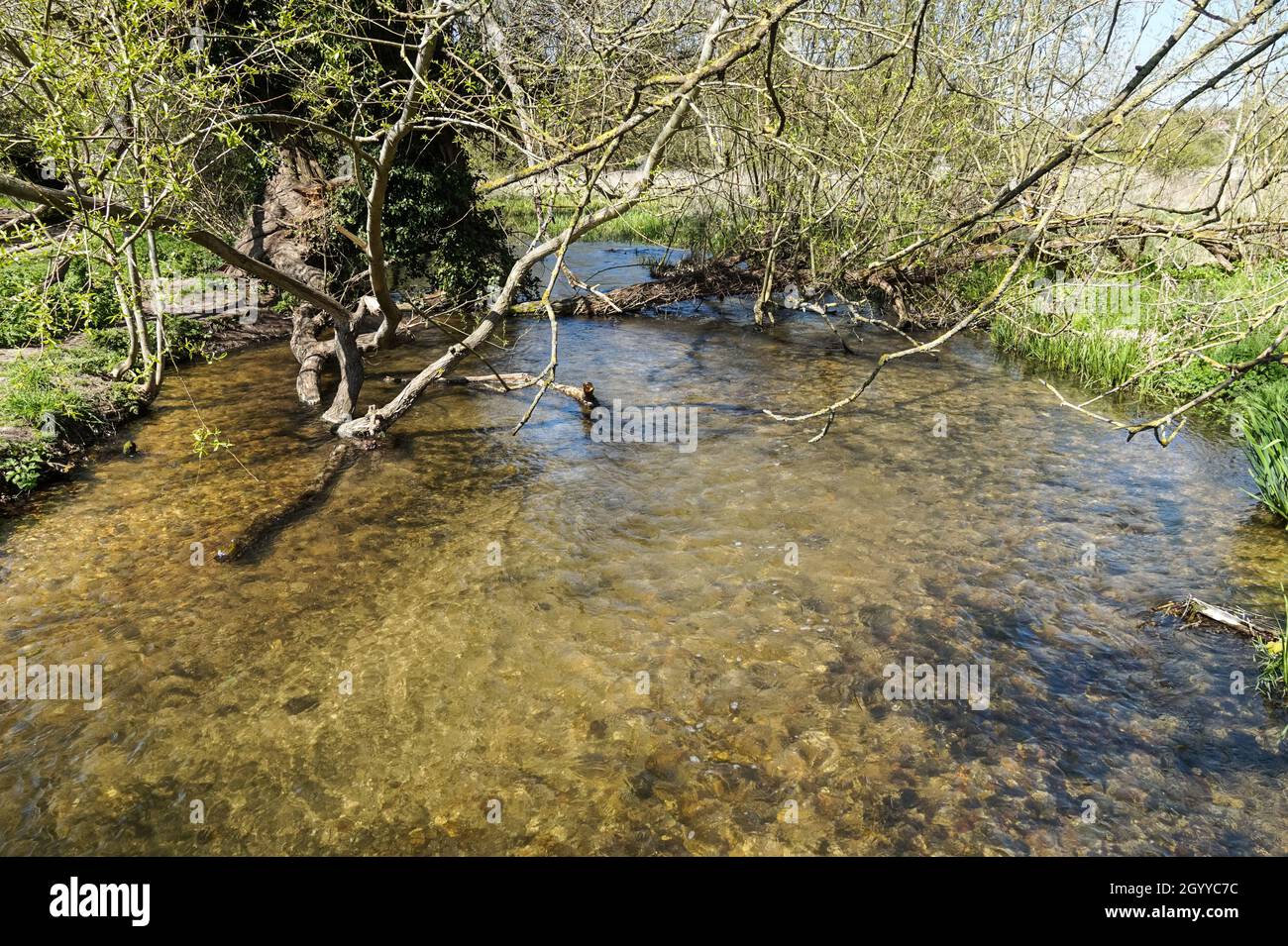 The Chess valley with the River Chess in Hertfordshire, England United ...