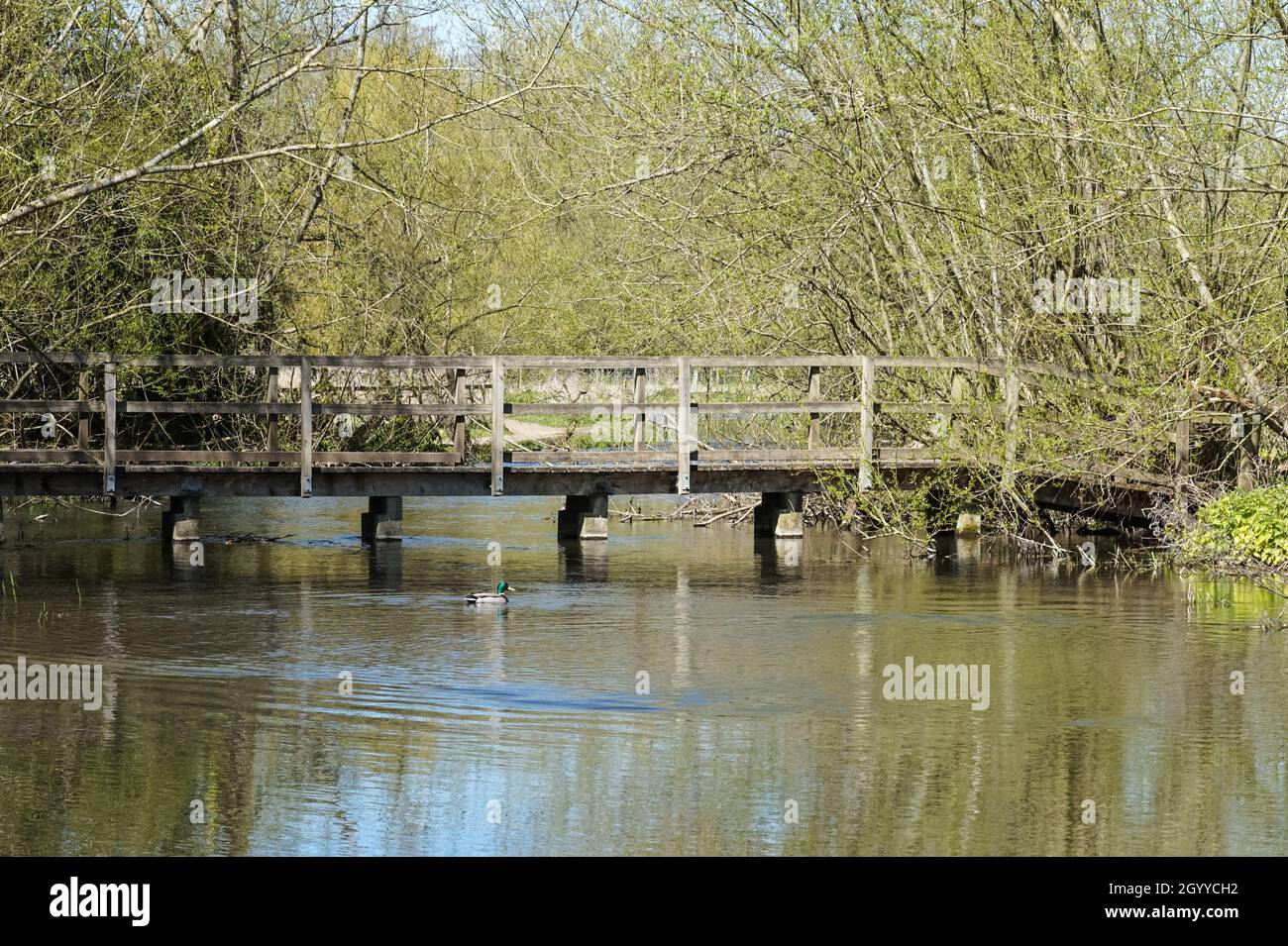 Pathway over river hi-res stock photography and images - Alamy