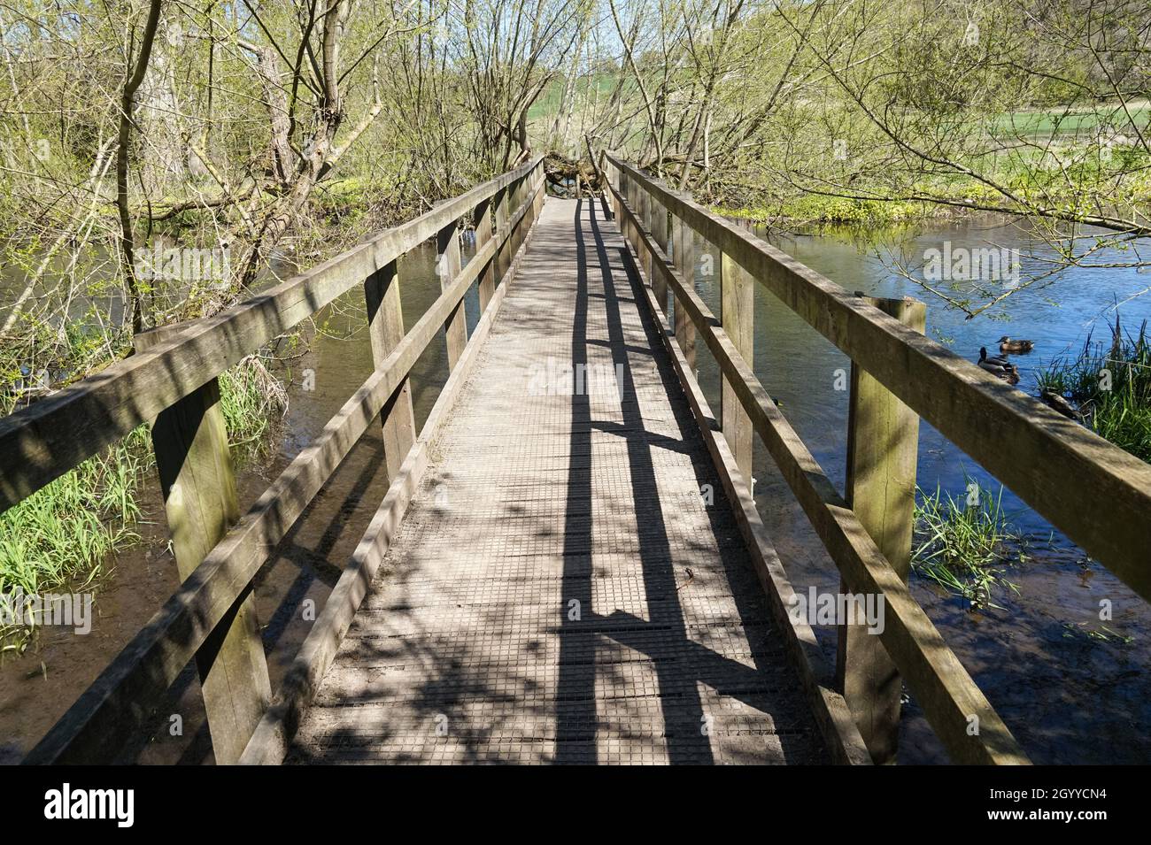 Wooden boardwalk over the River Chess in Hertfordshire, England United ...