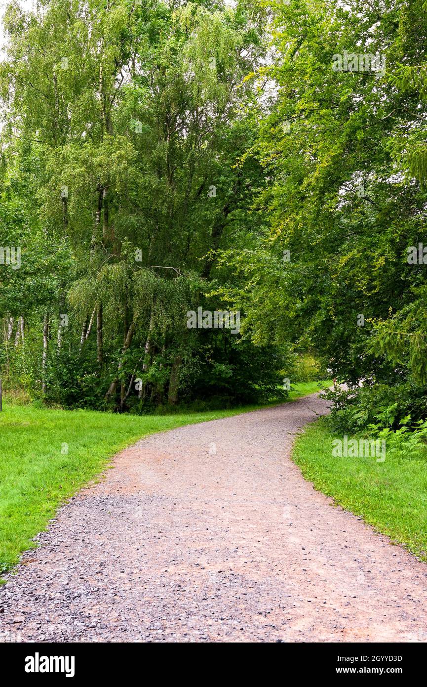 Rough path through a parkland area with trees either side. No people ...