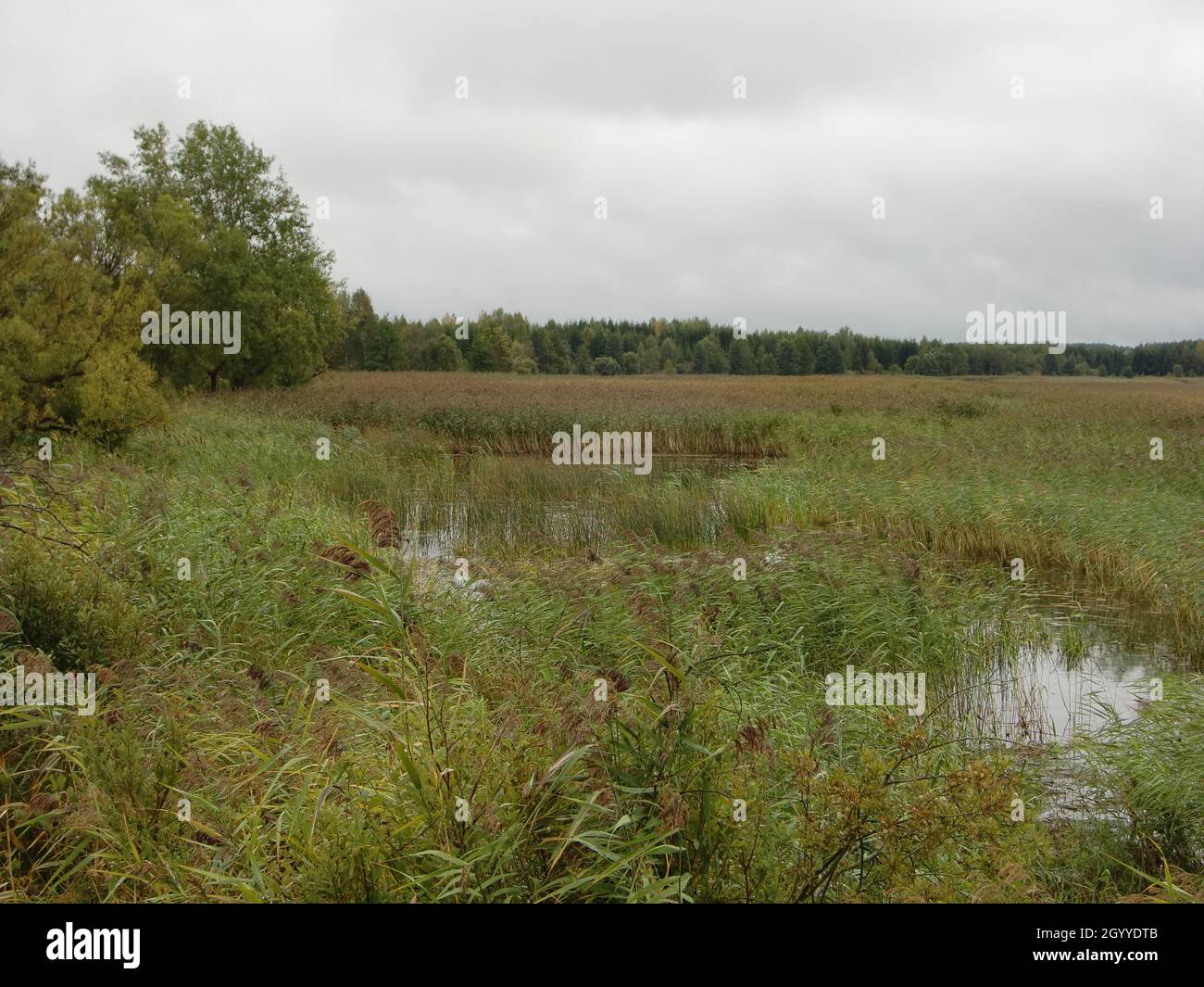 Minsk region hi-res stock photography and images - Alamy