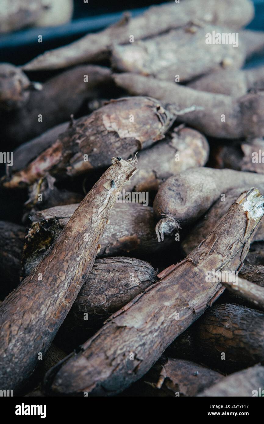 Balinghoy hi-res stock photography and images - Alamy