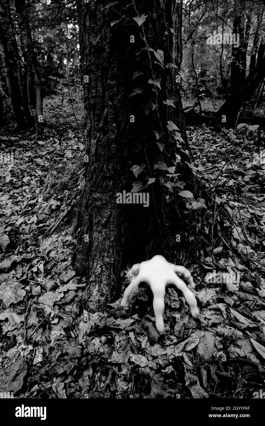 Alien planet art hi-res stock photography and images - Alamy