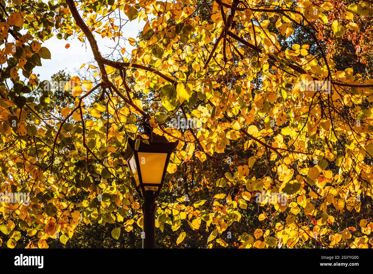Orange autumn fashion hi-res stock photography and images - Alamy
