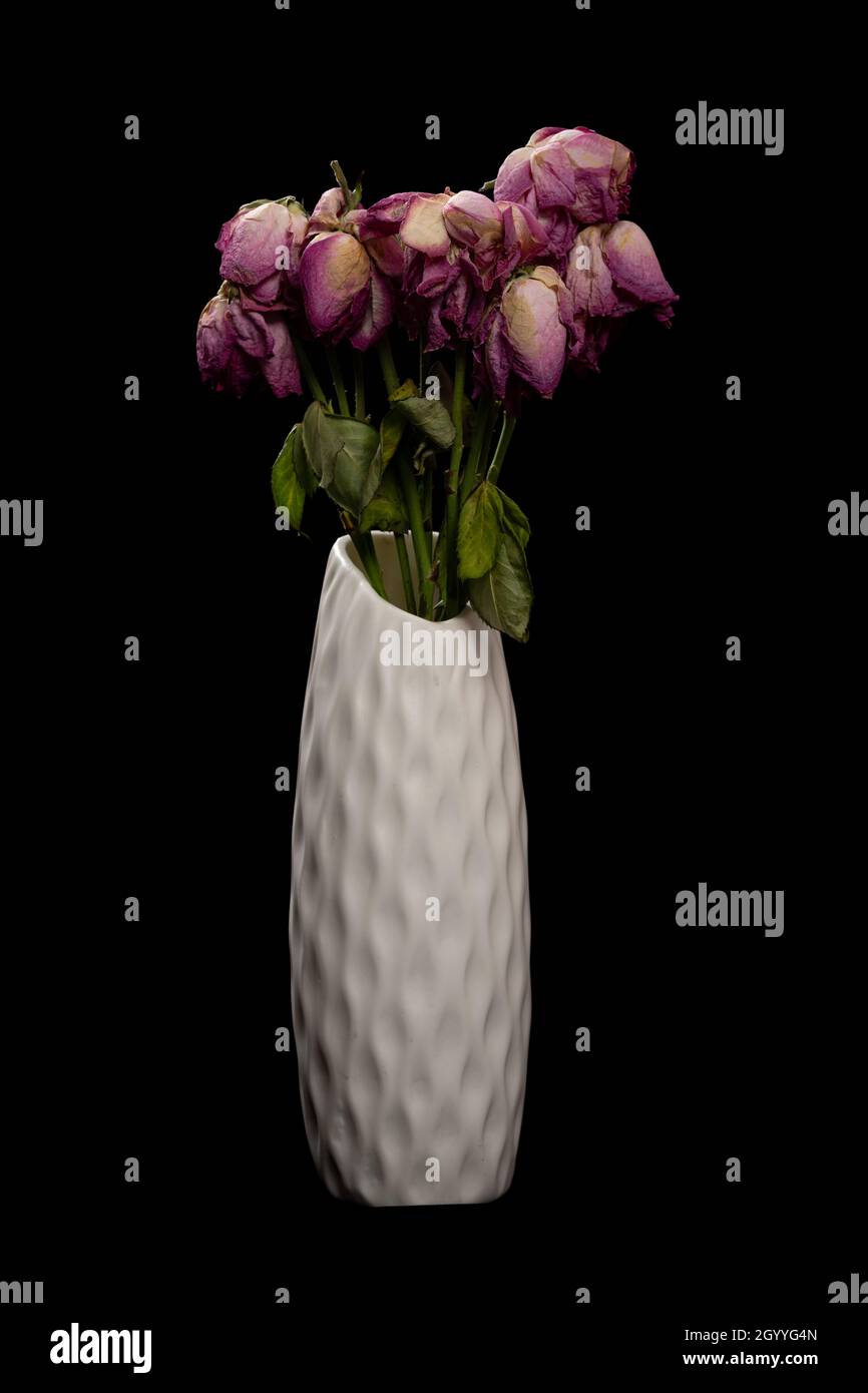 Carnations dead hi-res stock photography and images - Alamy