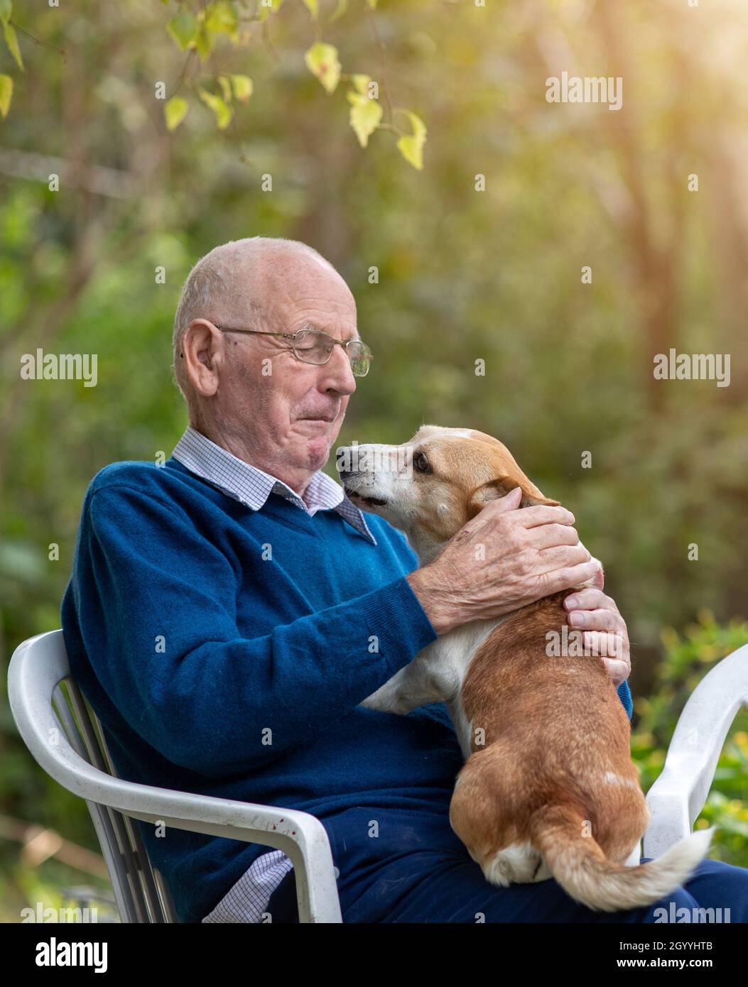 Dog man lap love old hi-res stock photography and images - Alamy
