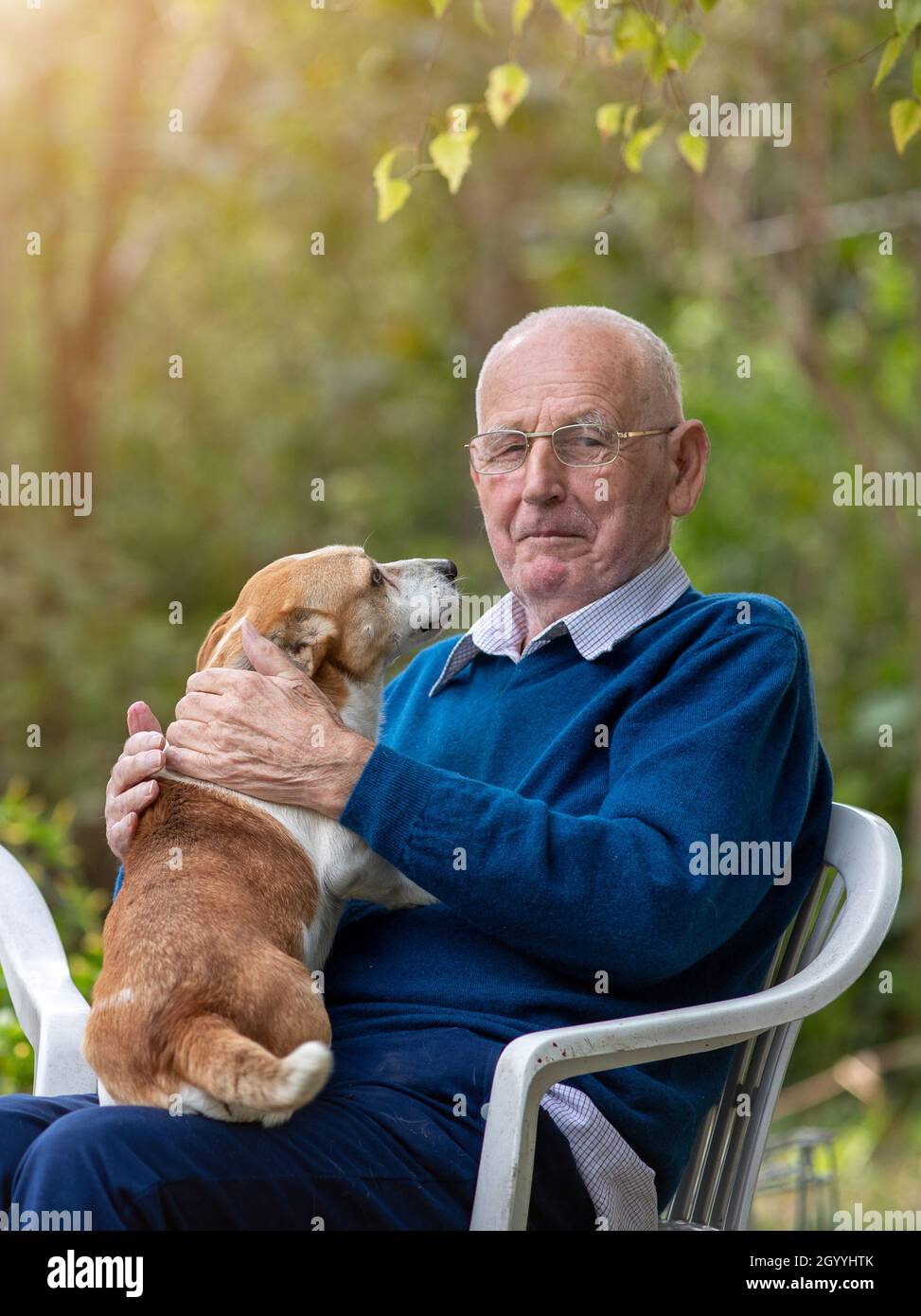 Dog man lap love old hi-res stock photography and images - Alamy