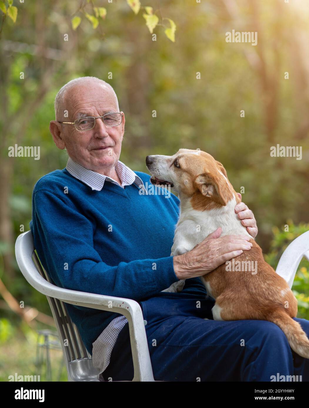 Portrait of senior man sitting in garden and cuddling cute dog in his ...
