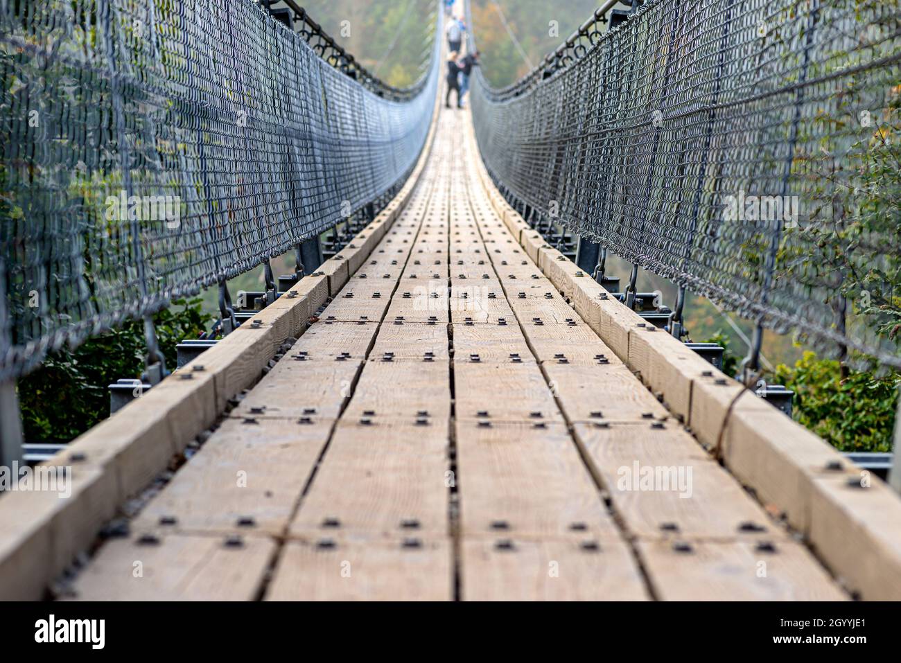 Suspension wooden bridge with steel ropes over a dense forest in West ...
