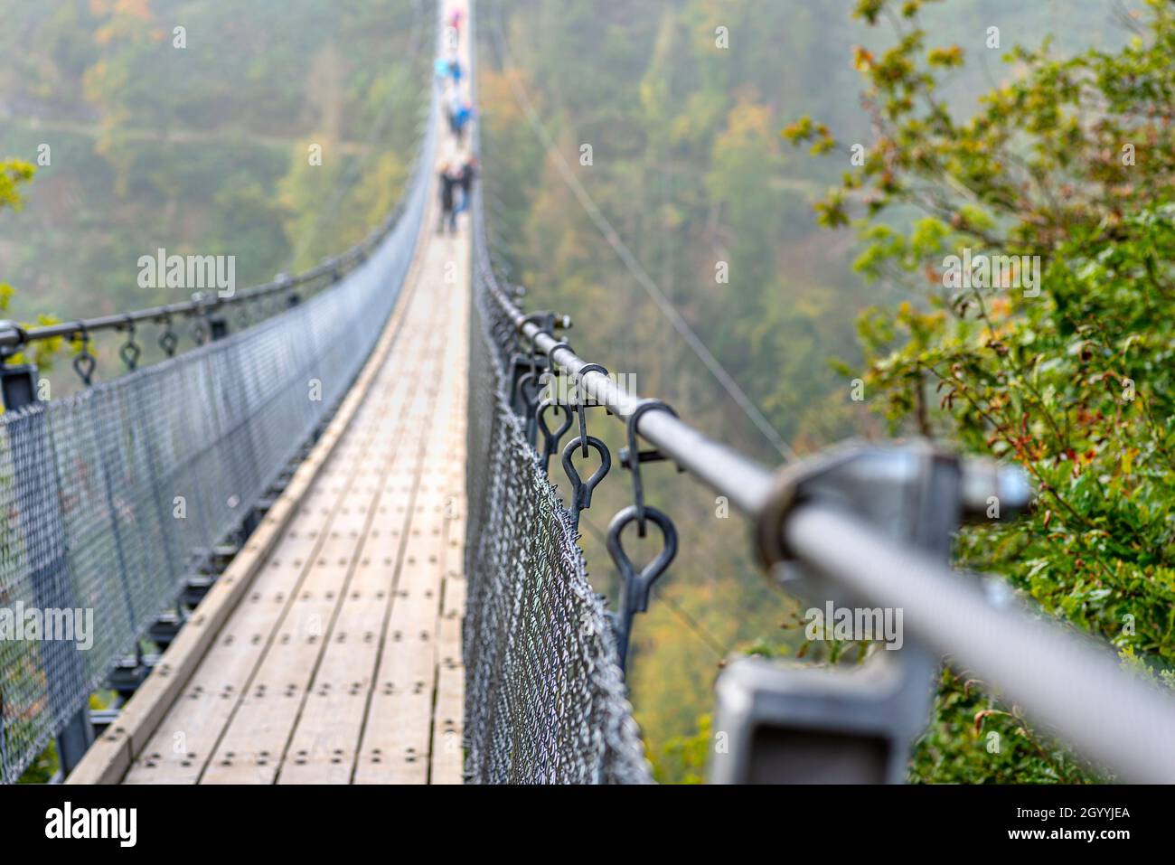 Suspension wooden bridge with steel ropes over a dense forest in West ...