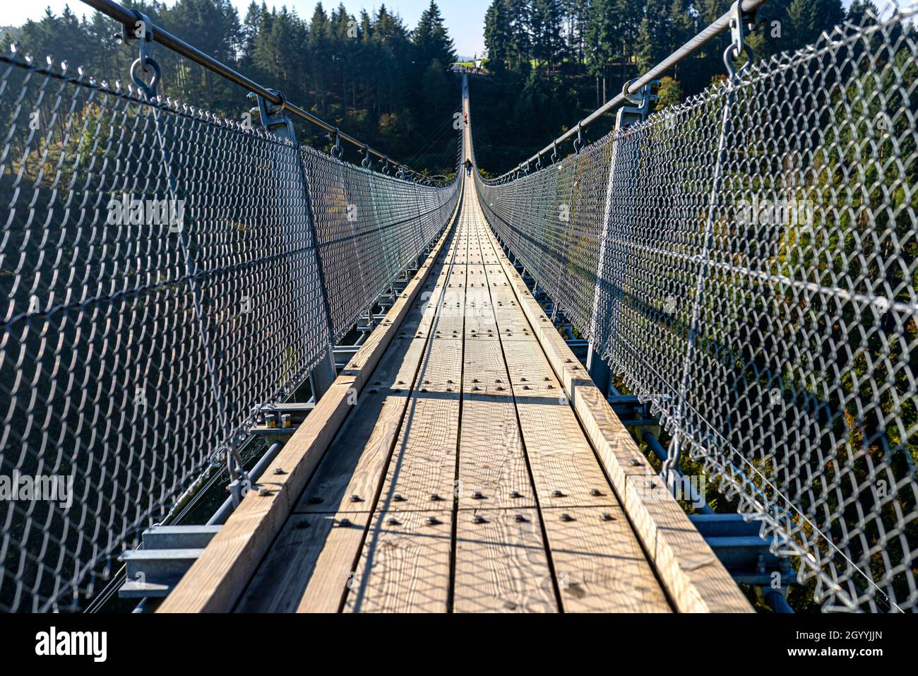 Suspension wooden bridge with steel ropes over a dense forest in West ...