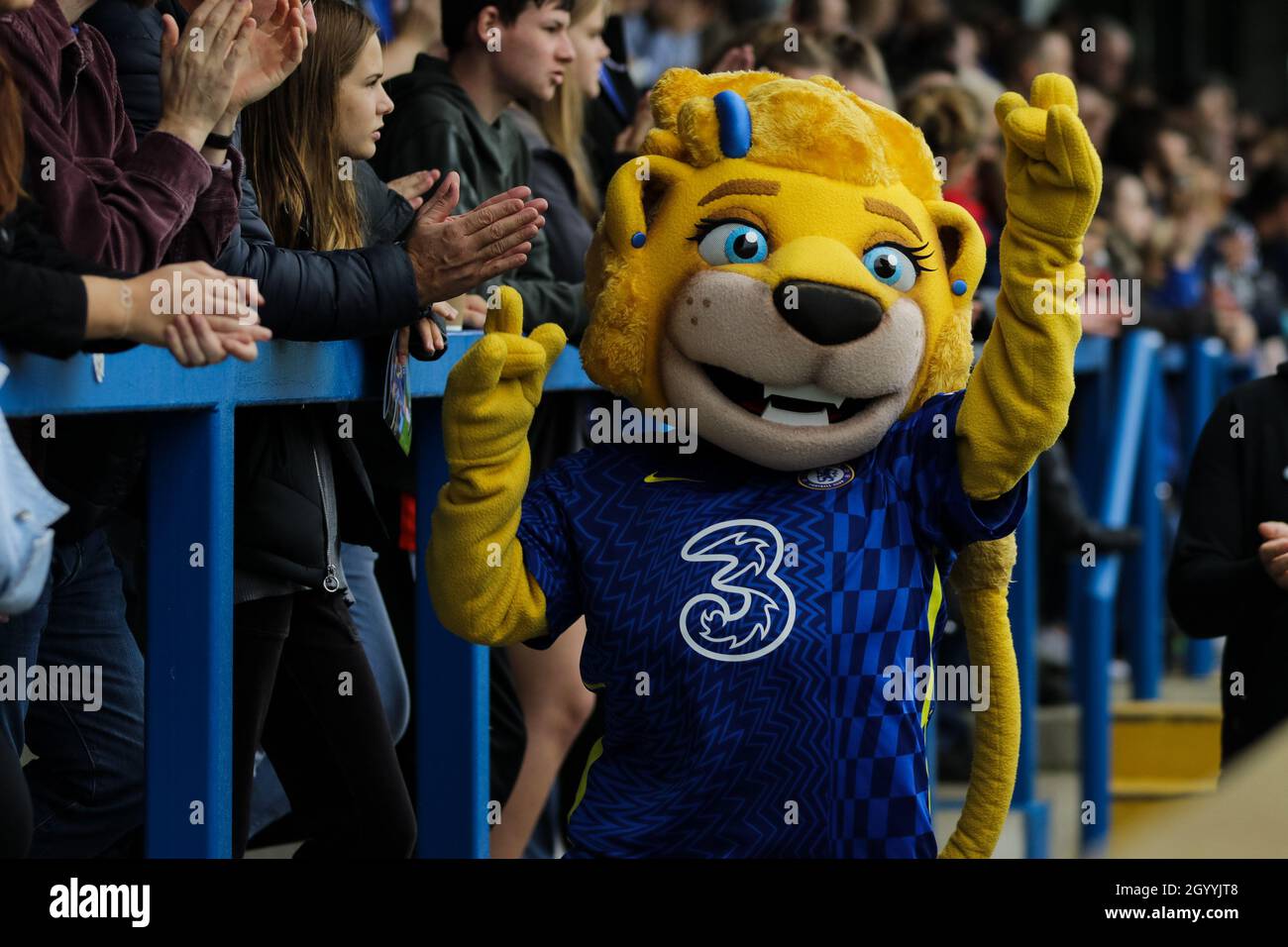 Chelsea mascot hi-res stock photography and images - Alamy