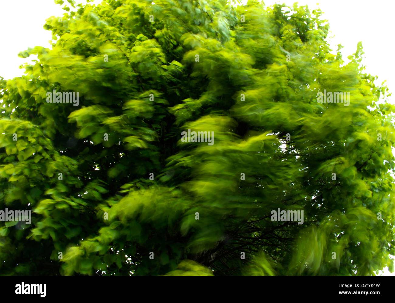 Abstract art movement hi-res stock photography and images - Alamy