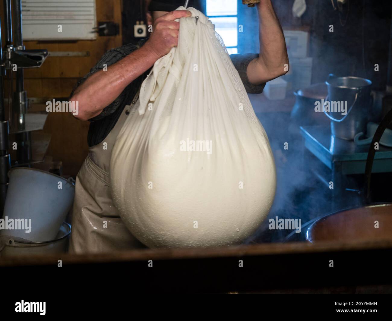 Traditional production of handmade Swiss Gruyere cheese at the alpine ...