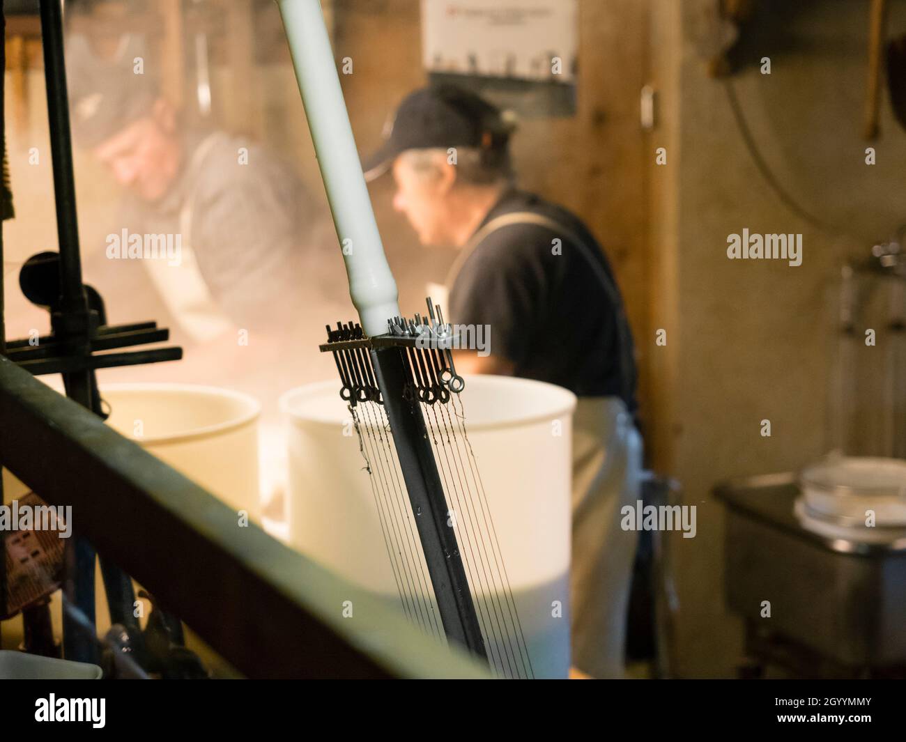 Traditional production of handmade Swiss Gruyere cheese at the alpine ...