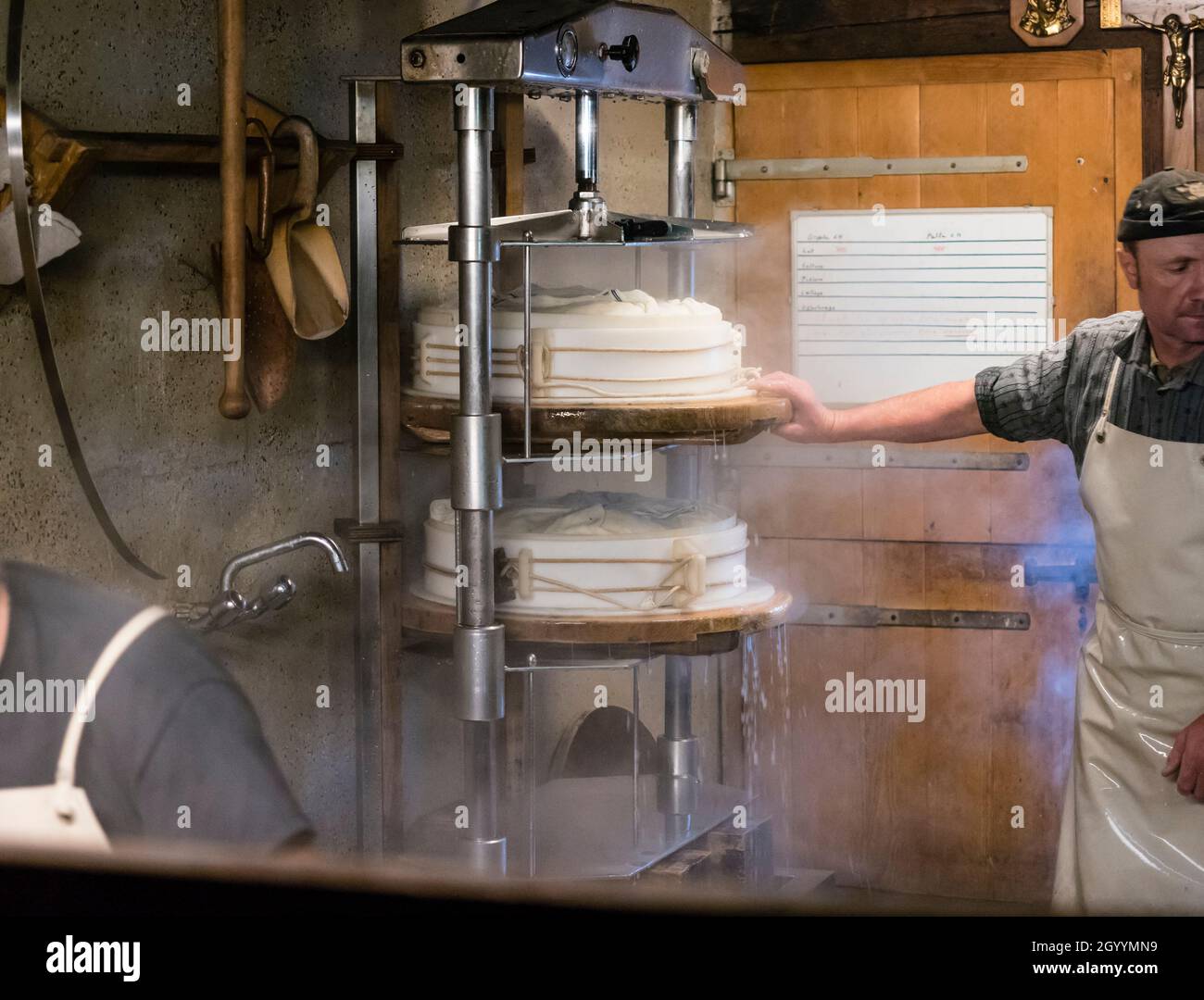 Traditional production of handmade Swiss Gruyere cheese at the alpine ...