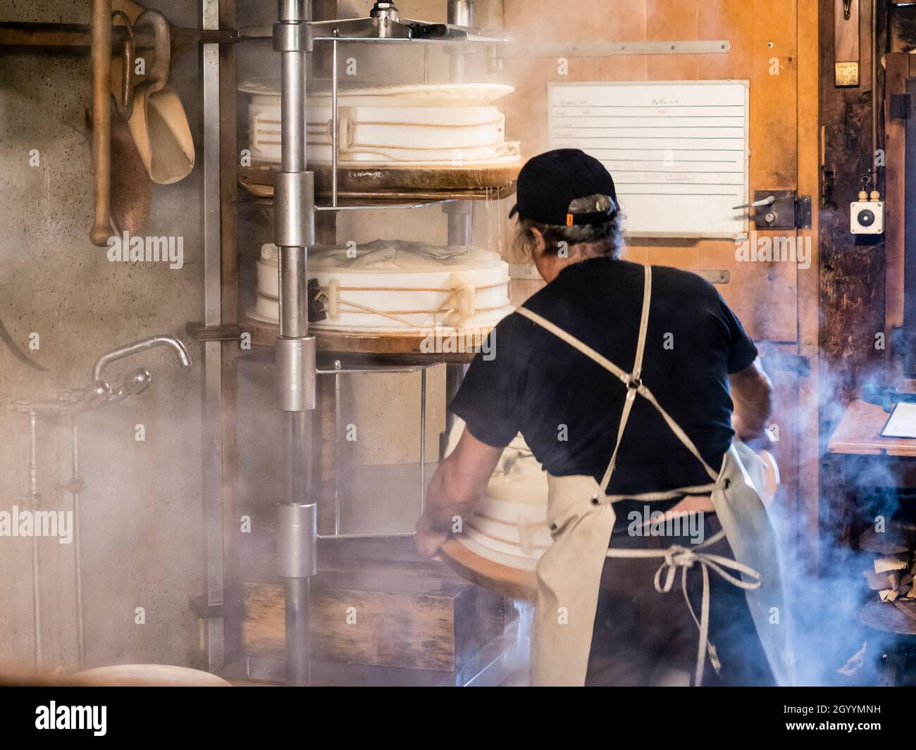 Traditional production of handmade Swiss Gruyere cheese at the alpine ...