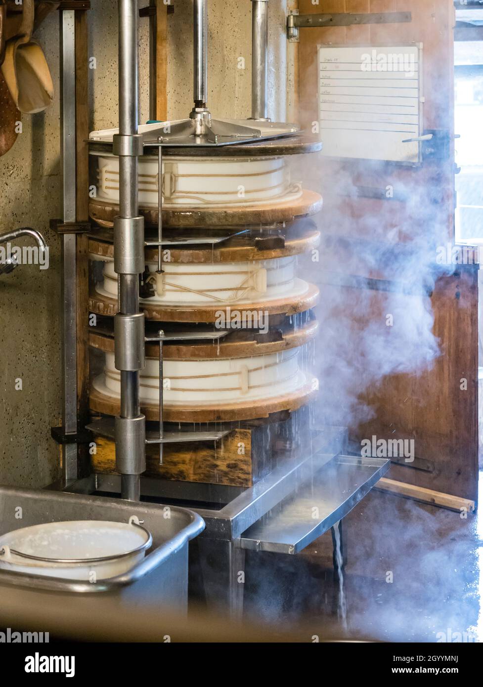 Traditional production of handmade Swiss Gruyere cheese at the alpine ...