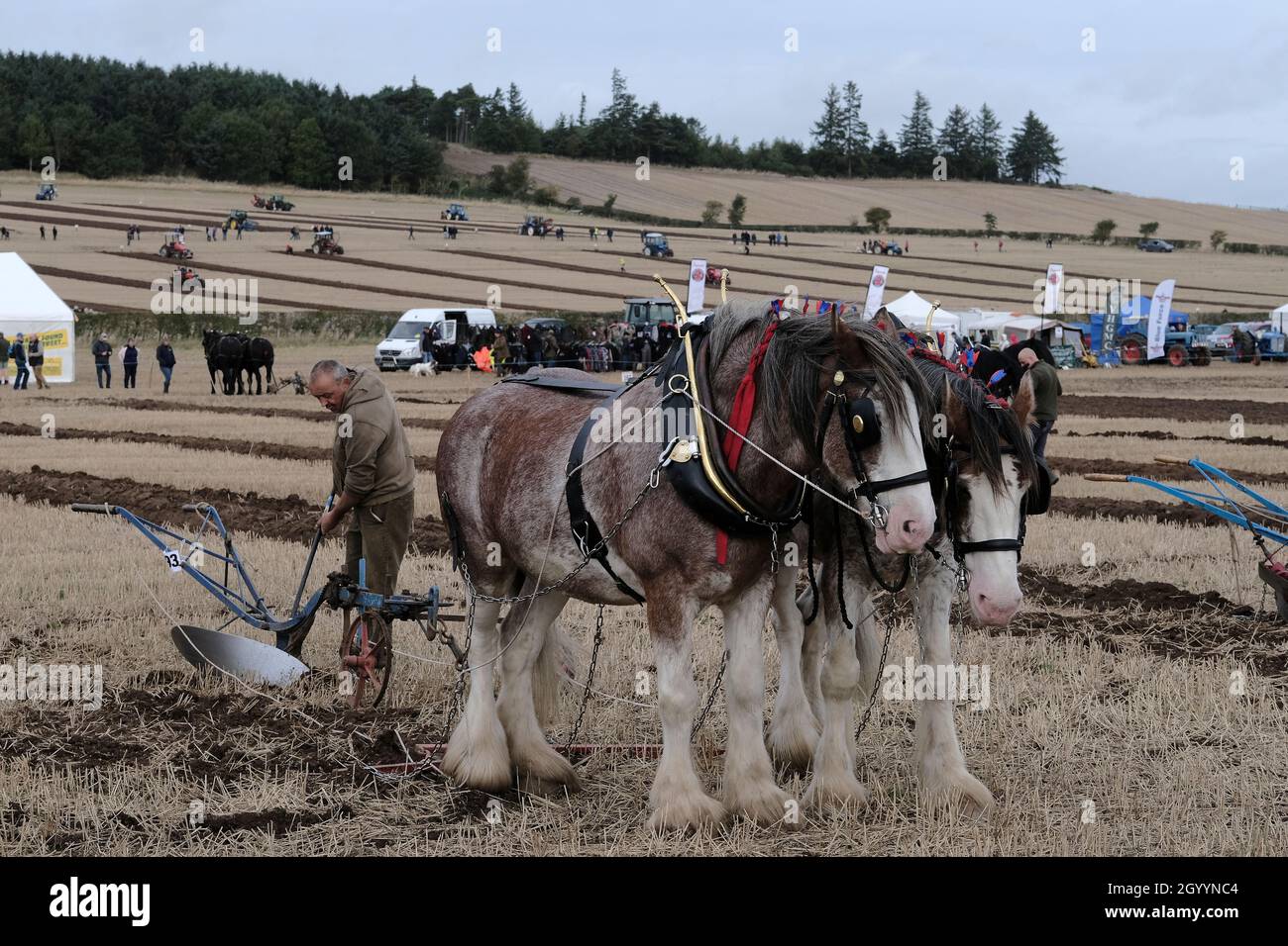 Mindrum, Northumberland, UK. 10th Oct, 2021. 70th British National ...