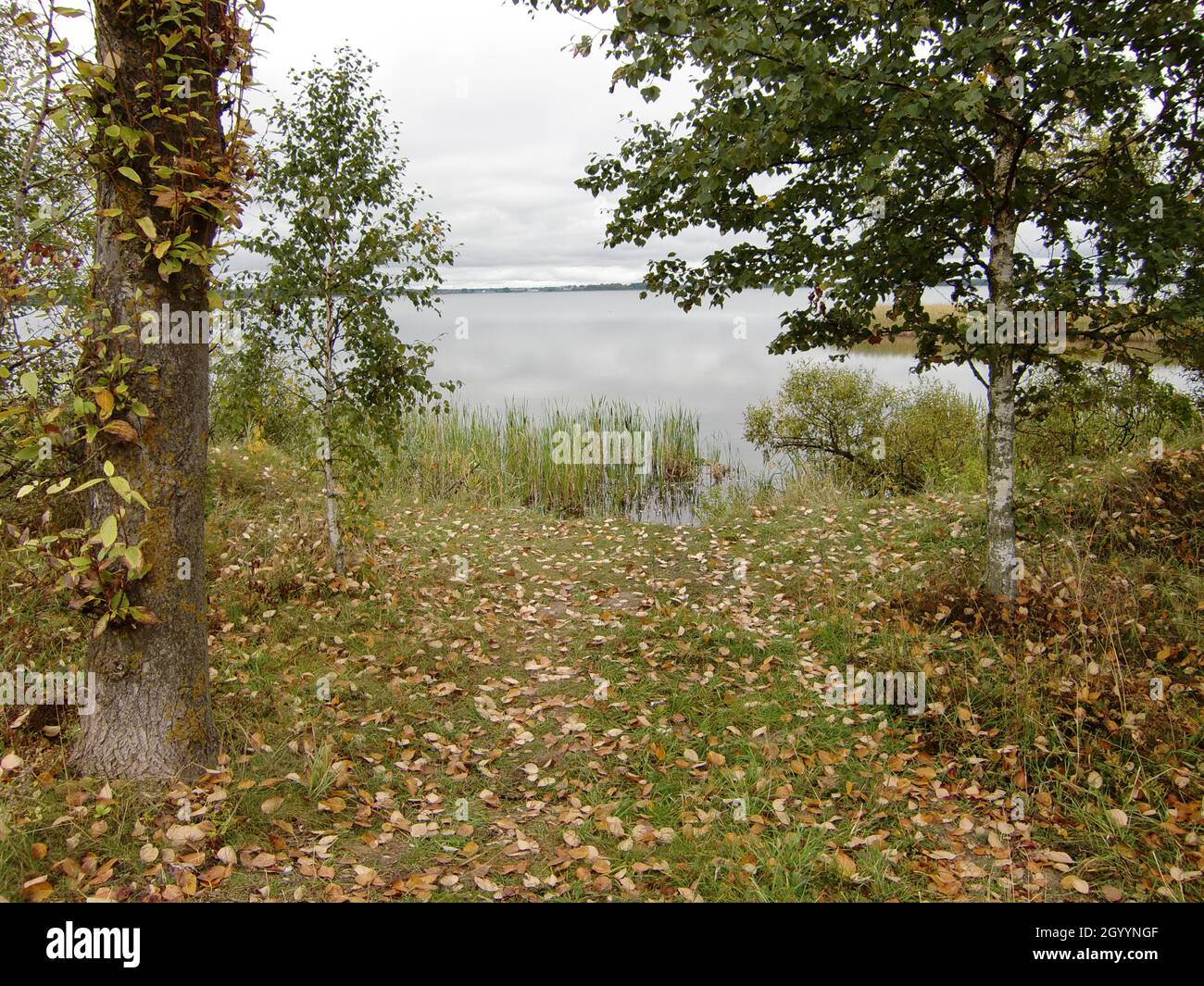 Narach / Naroch Lake (Narаchanski / Narochansky National Park, Myadzyel ...