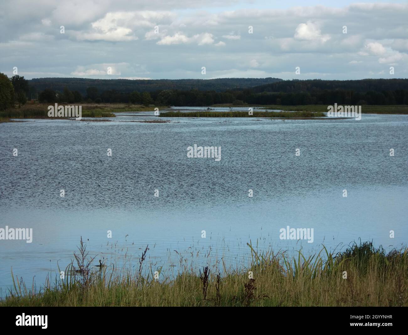 Narochansky hi-res stock photography and images - Alamy