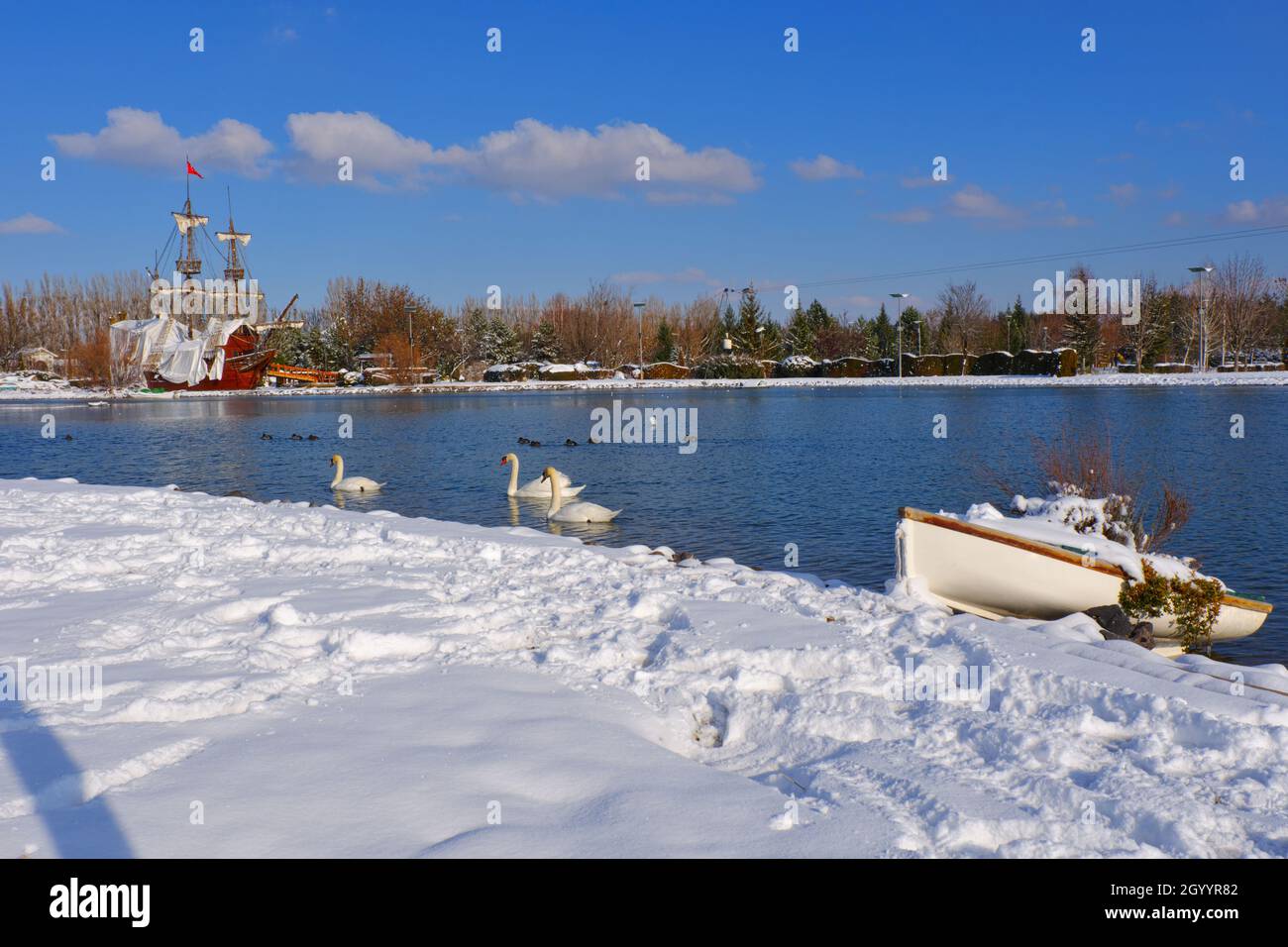 Small wooden rowing boat at lakeside under snow while white swans swim ...