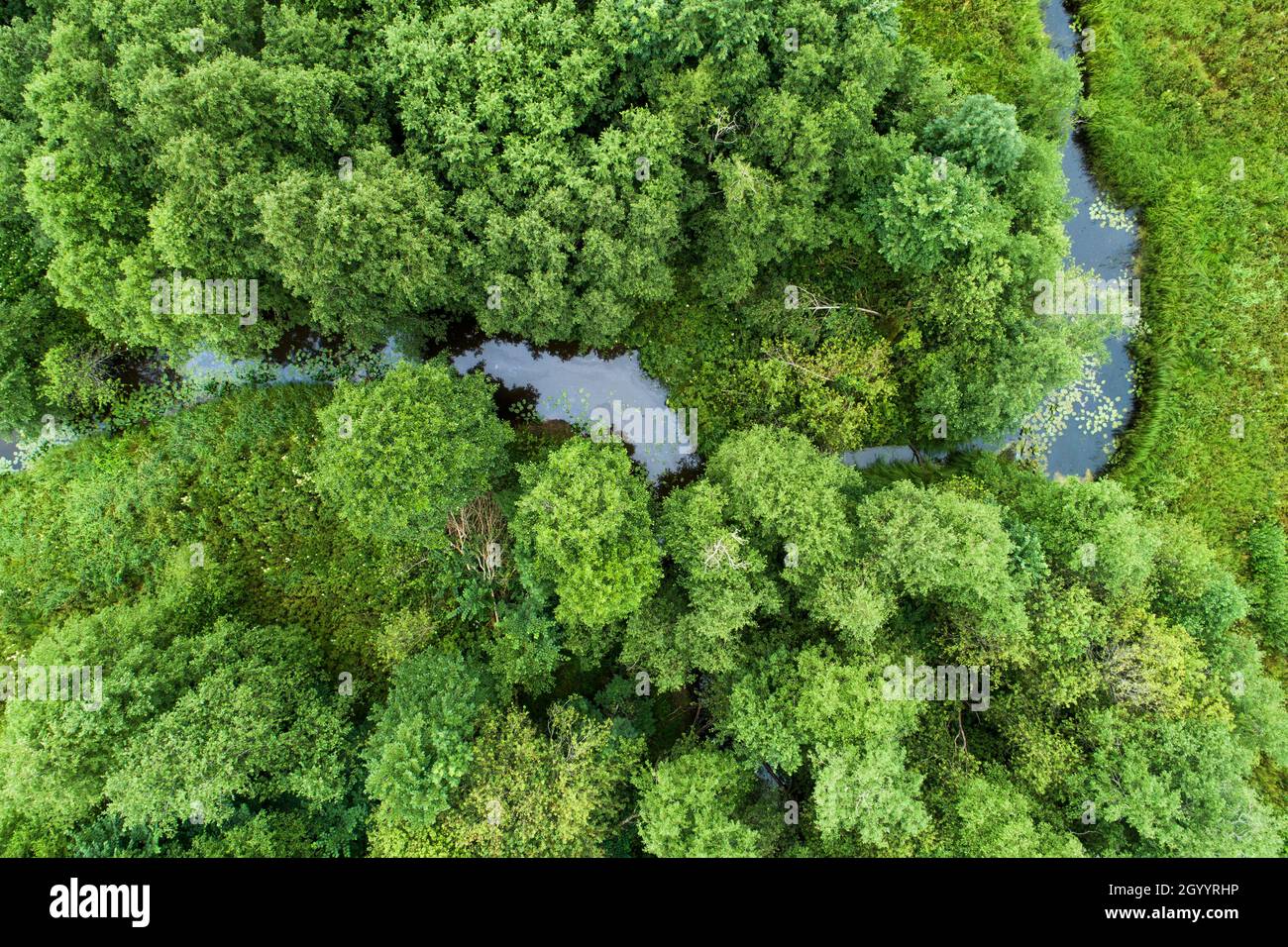 An aerial view of a small river meandering in the middle of green ...