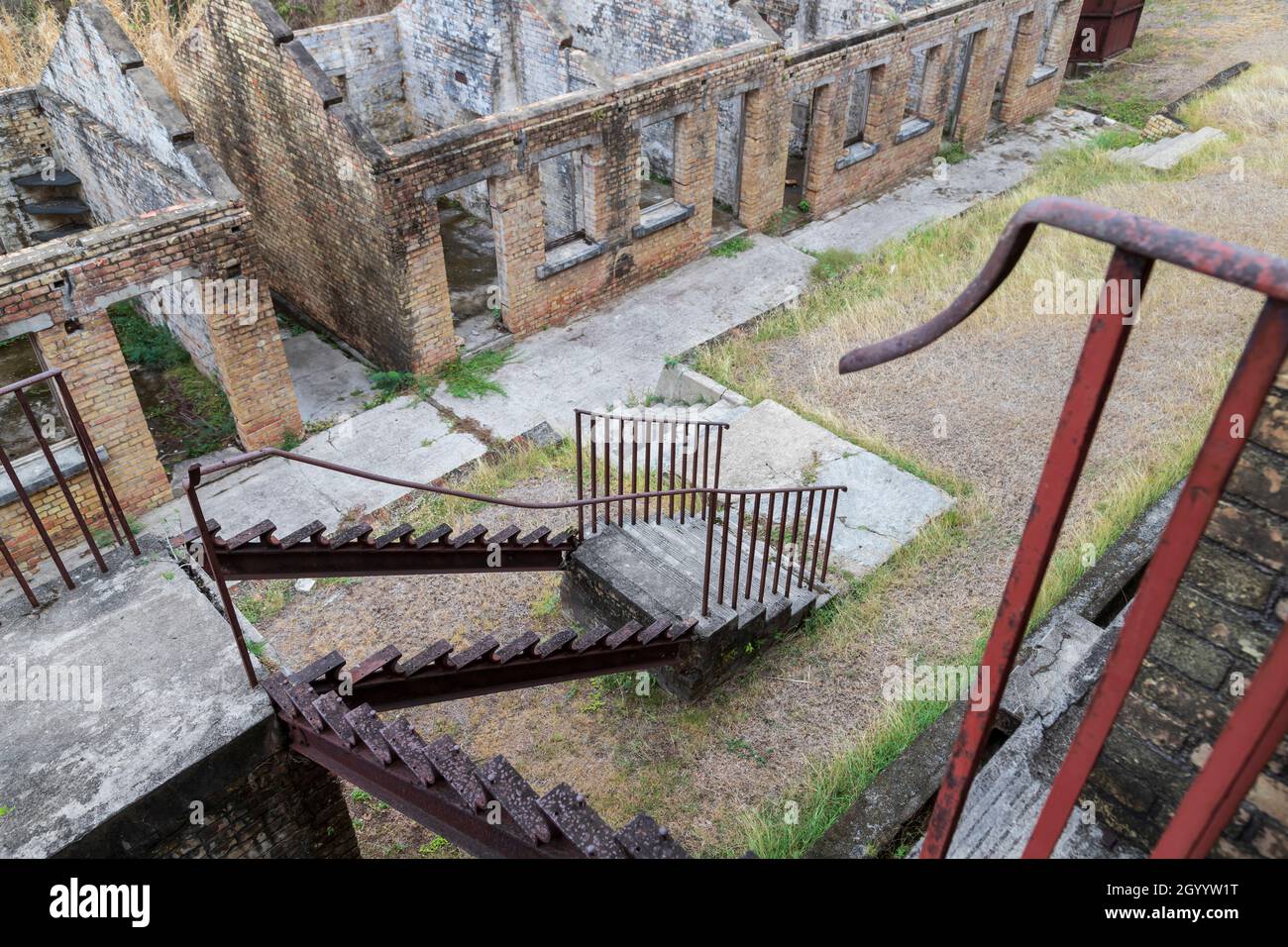 Stringer hi-res stock photography and images - Alamy