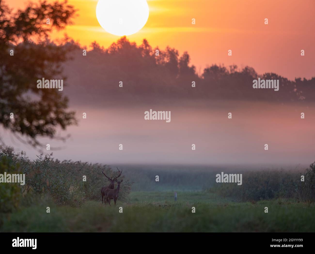 Big sun rising hi-res stock photography and images - Alamy