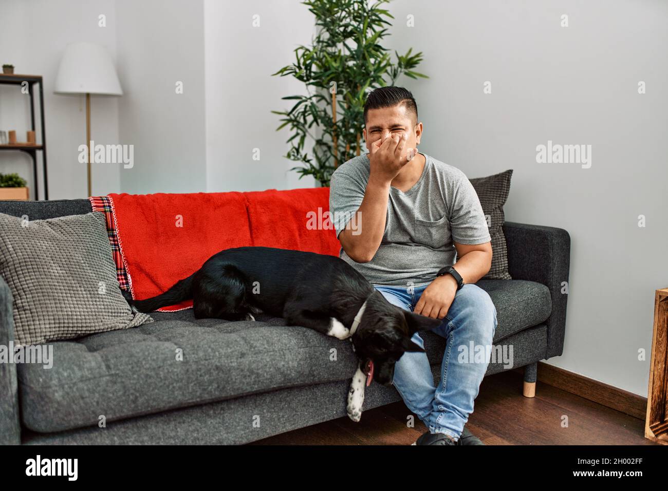 Smelly dog house hi-res stock photography and images - Alamy