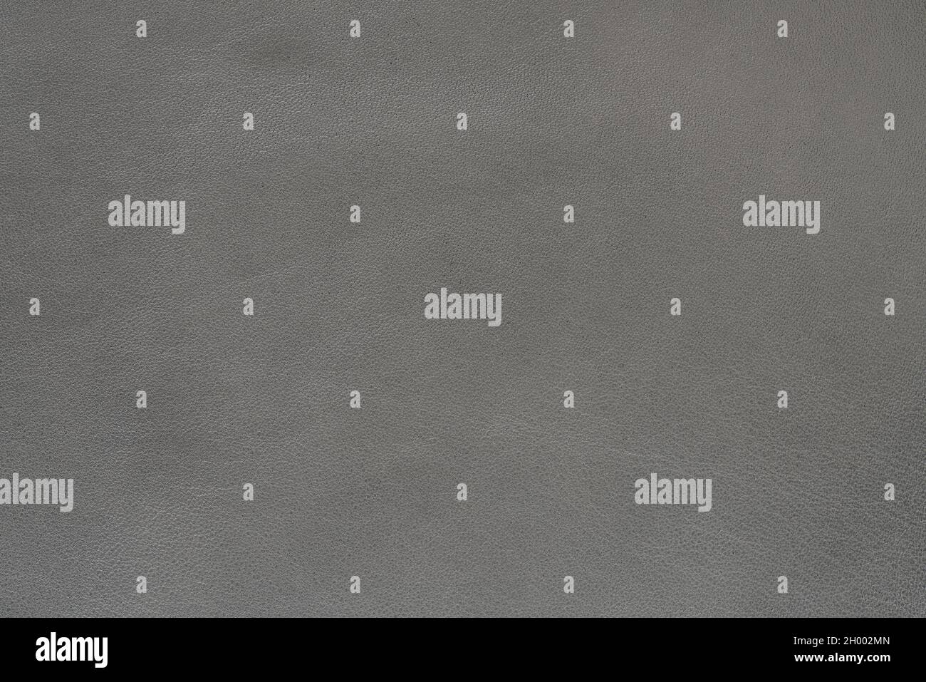 Taupe backdrop hi-res stock photography and images - Alamy