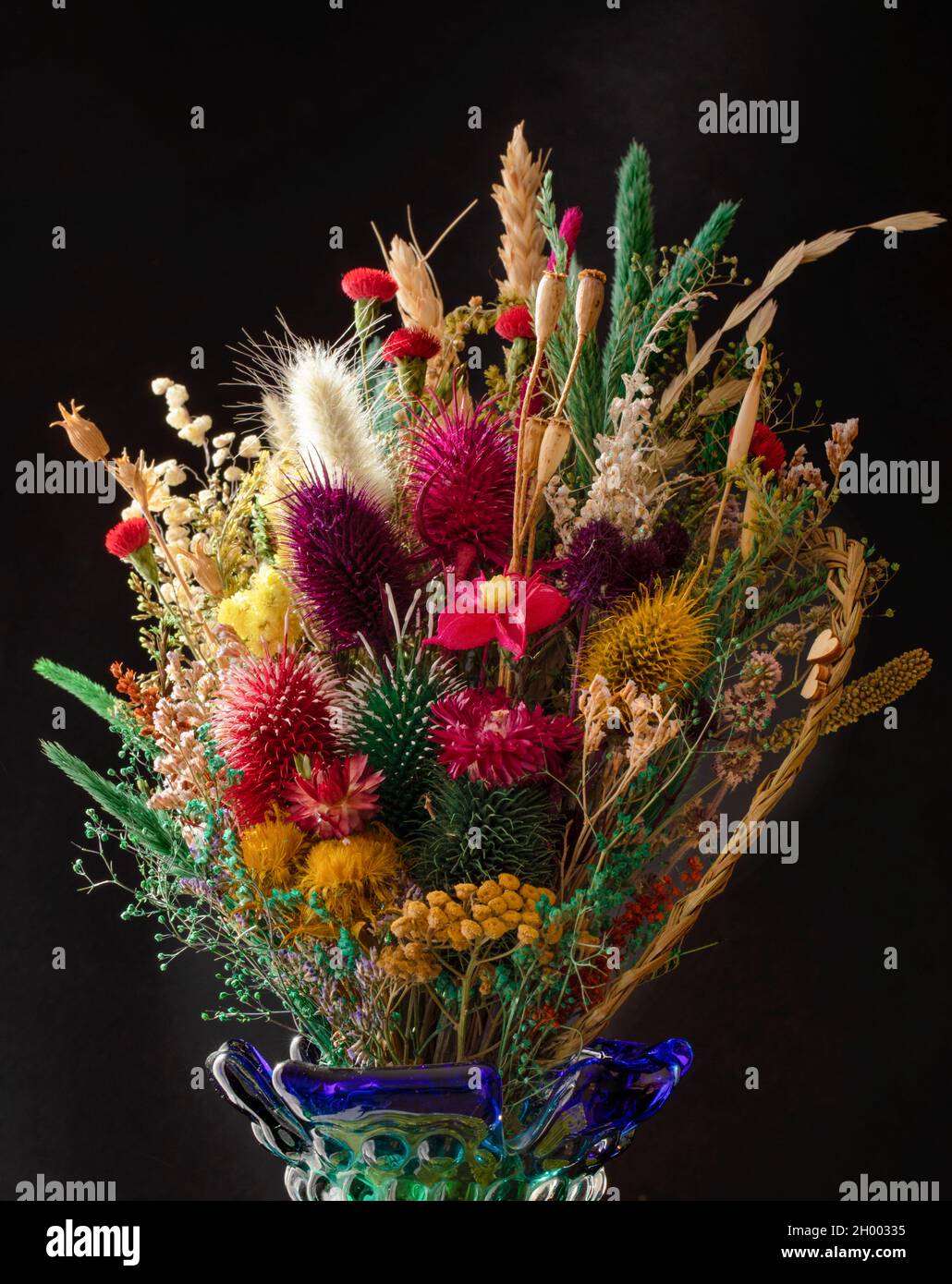 Dried flowers in nature hi-res stock photography and images - Alamy