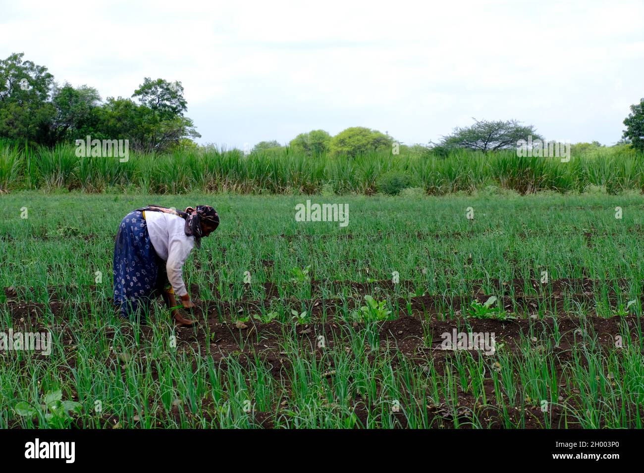 Pune life hi-res stock photography and images - Alamy