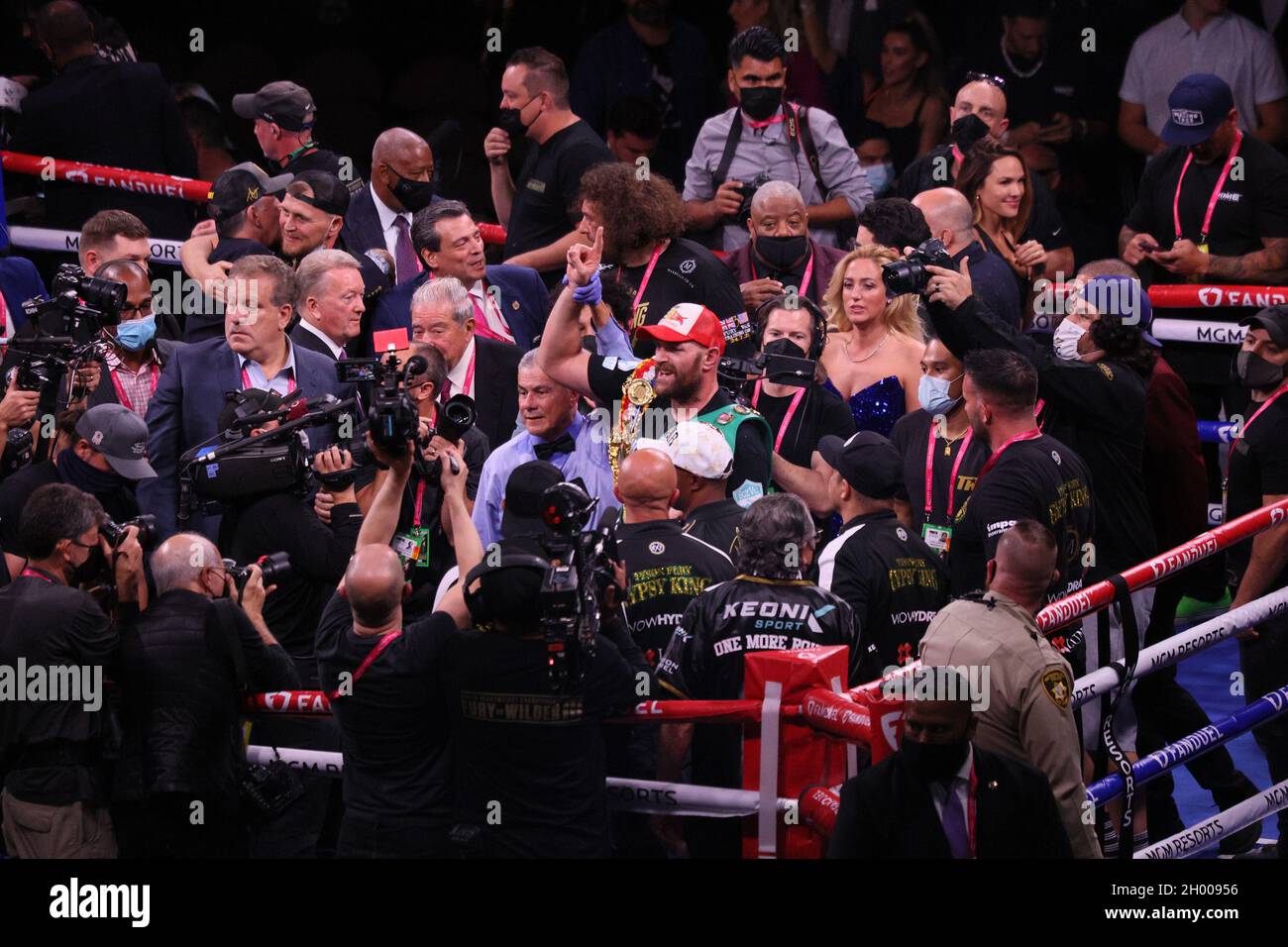 Wilder fury ko hi-res stock photography and images - Alamy