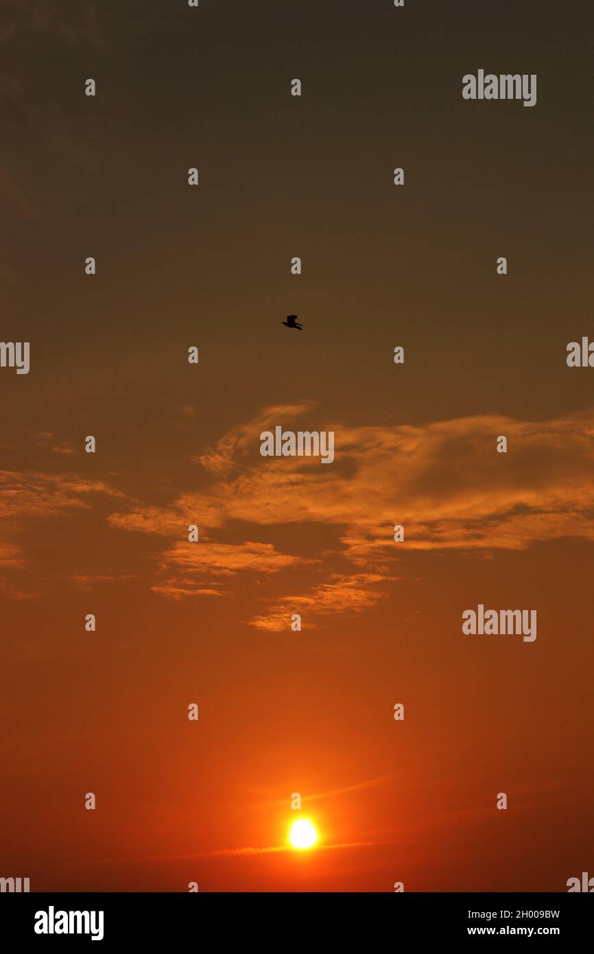 Beautiful sunrise through the window/Ahmedabad Stock Photo - Alamy