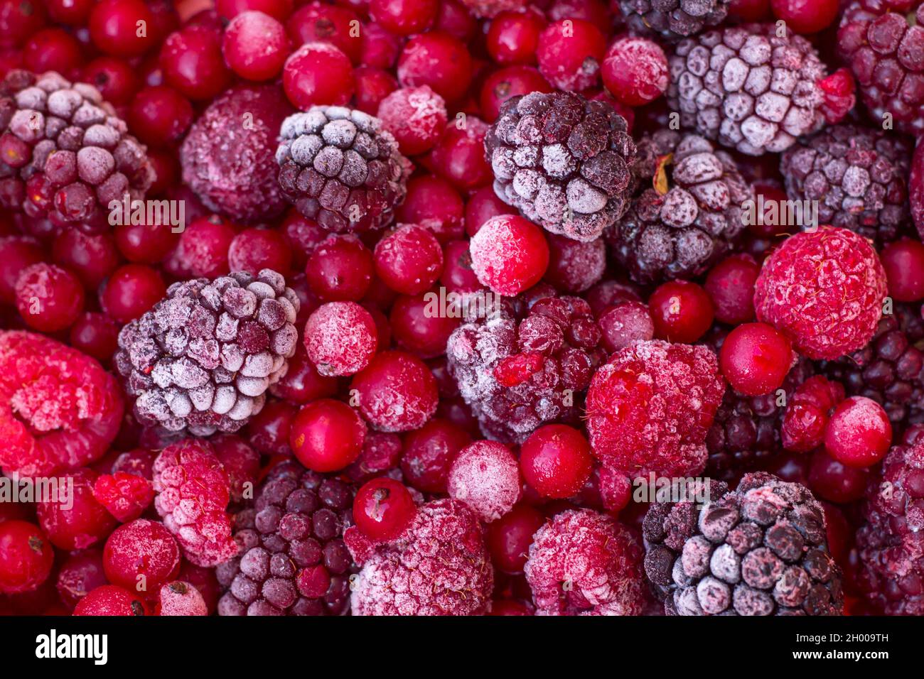 Close up of frozen mixed fruit Stock Photo - Alamy