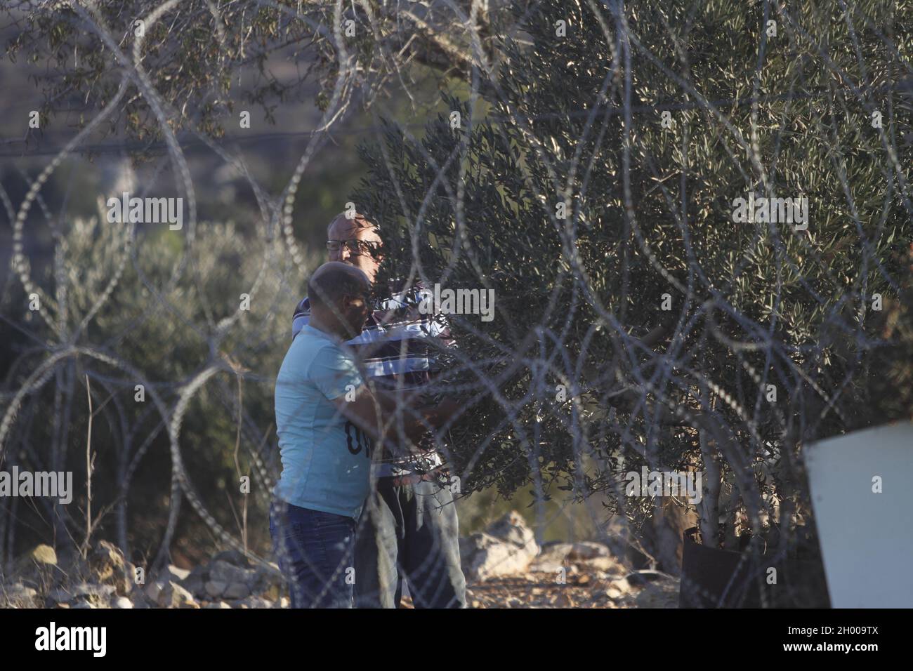 Jewish settlement of ariel hi-res stock photography and images - Alamy