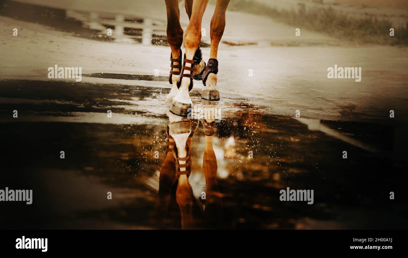 Feet running through puddle hi-res stock photography and images - Alamy